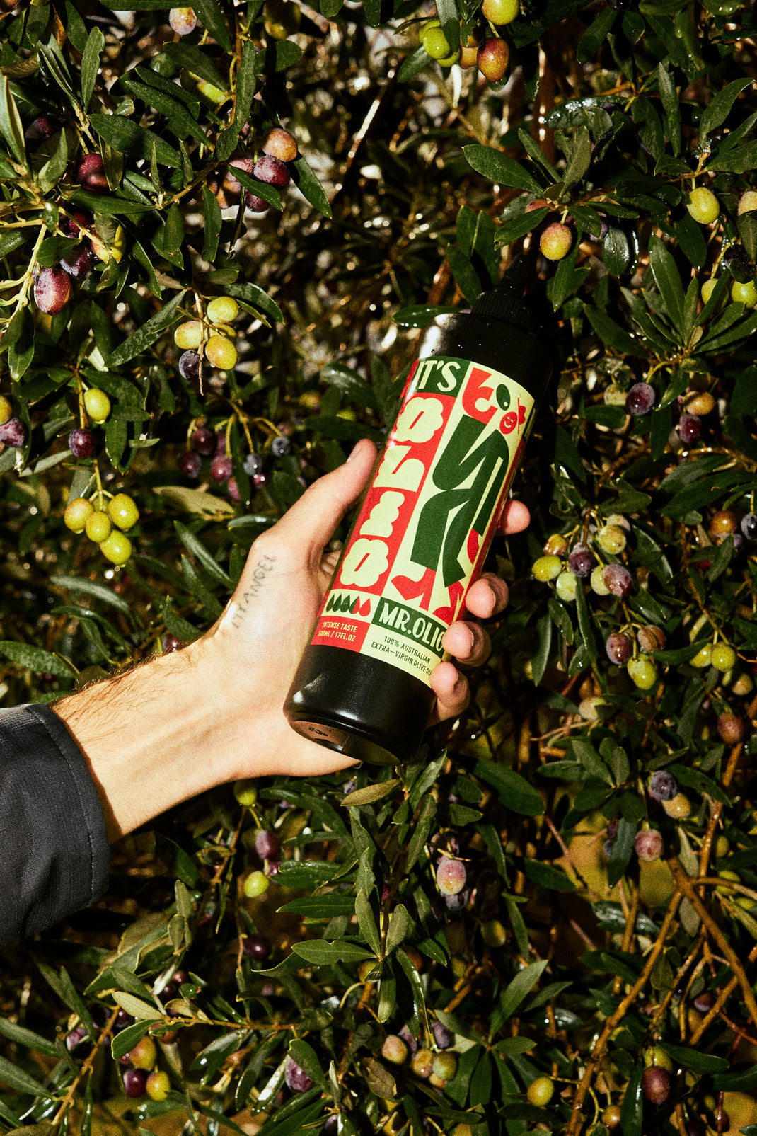 South Australia's Freshest & Most Squeezable Extra Virgin Olive Oil ...
